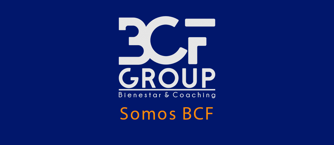 BCF Group | Somos BCF